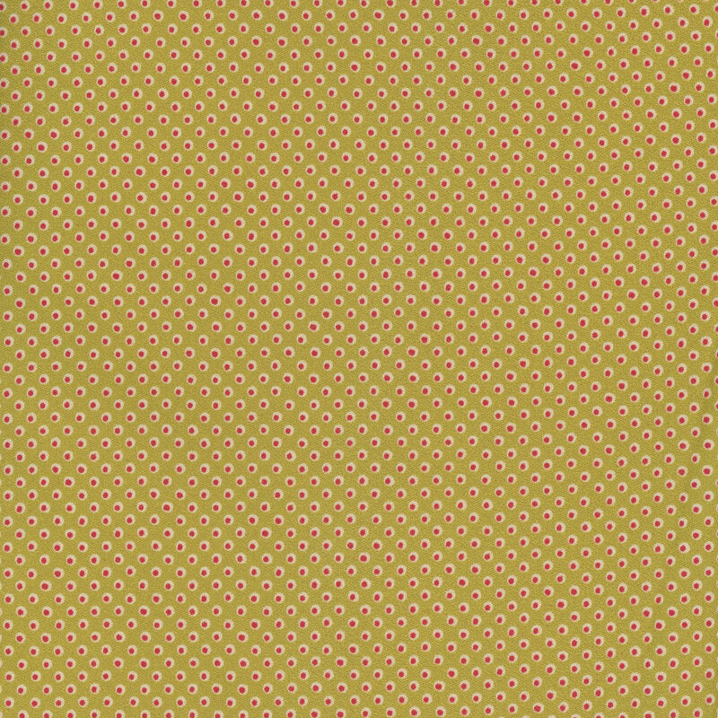 Pebble Green – 5 Little Monkeys